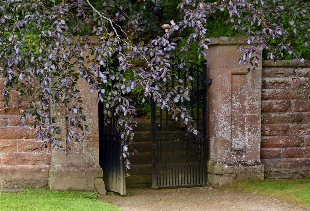 Galleries - Ardross Castle