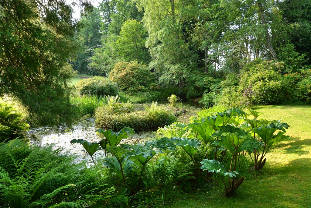 Galleries - Ardross Castle