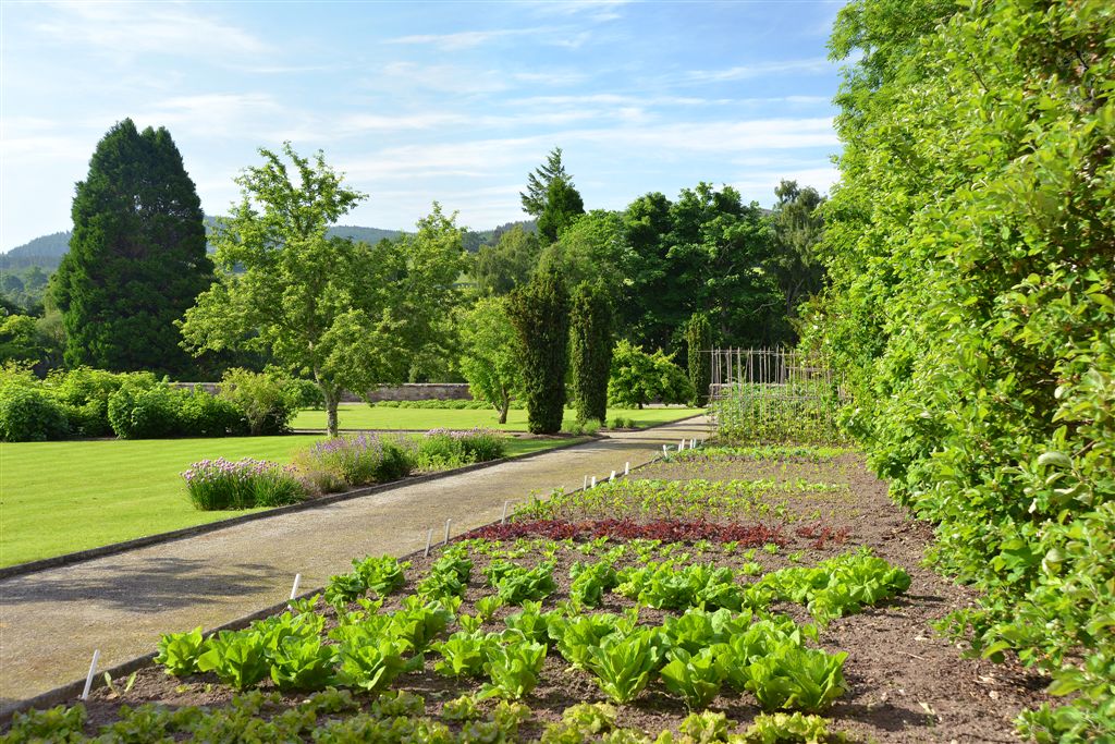 Galleries - Ardross Castle
